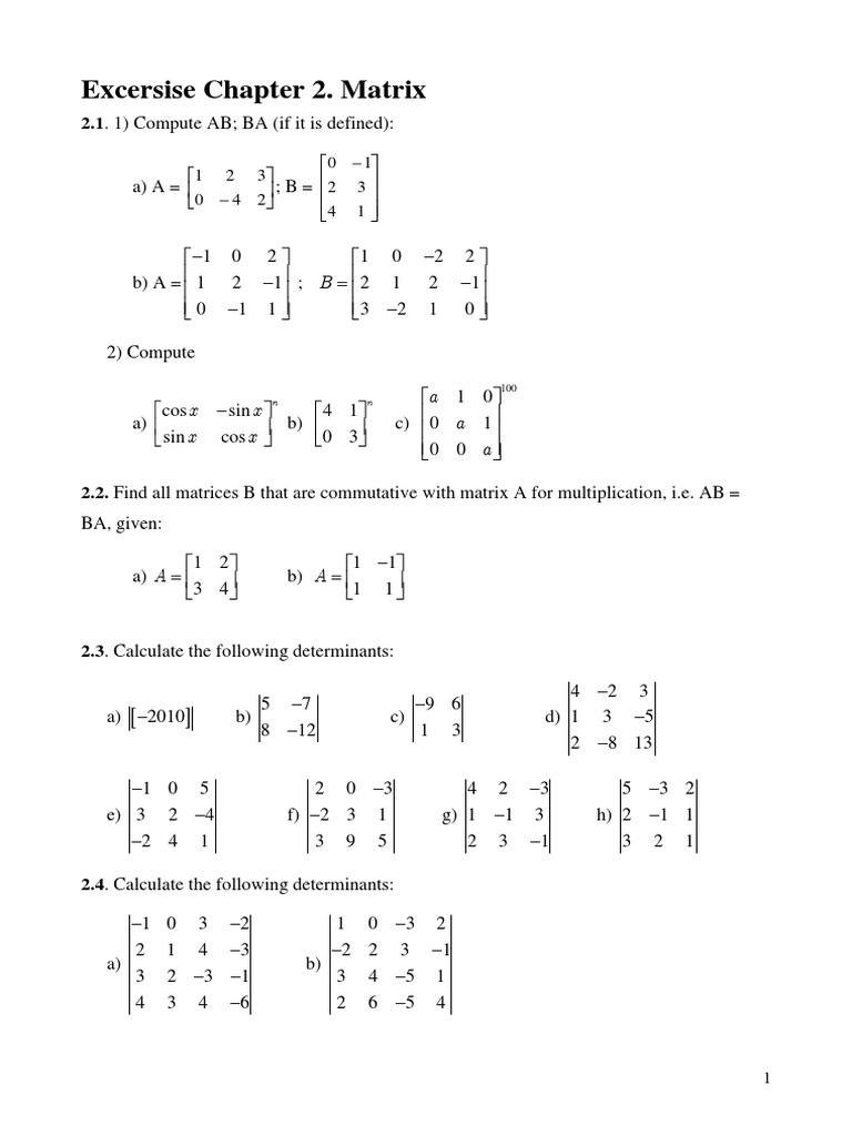 Excercise Ch1 Matrix Pdf Matrix Mathematics Determinant