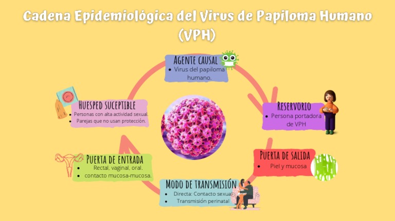 Cadena Epidemiológica del VPH | PDF