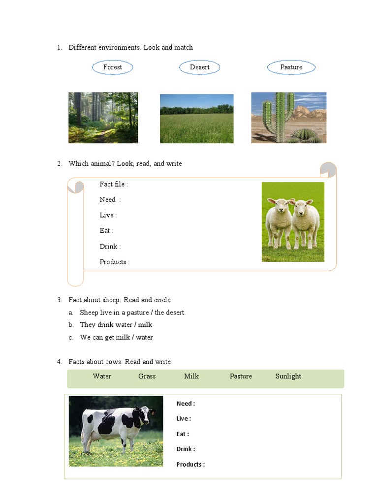 Understanding Environments: A Study of How Plants, Animals, and Humans ...