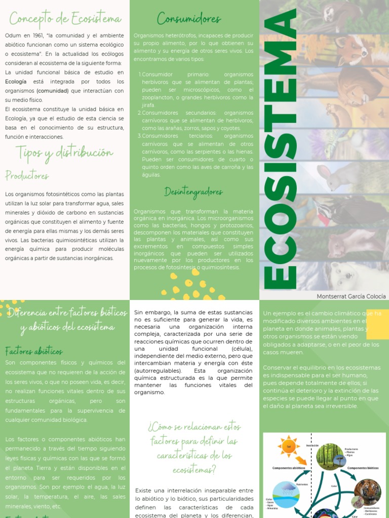 Triptico Ecosistema. | PDF | Ecosistema | Organismos
