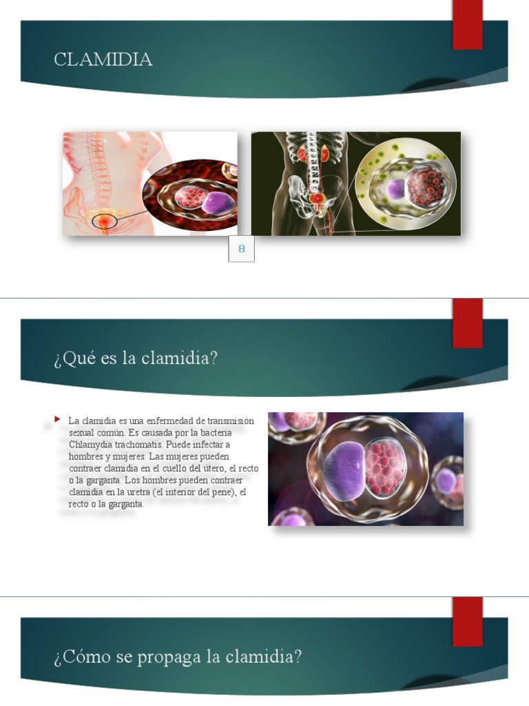 Clamidia | PDF | El embarazo | Inmunología