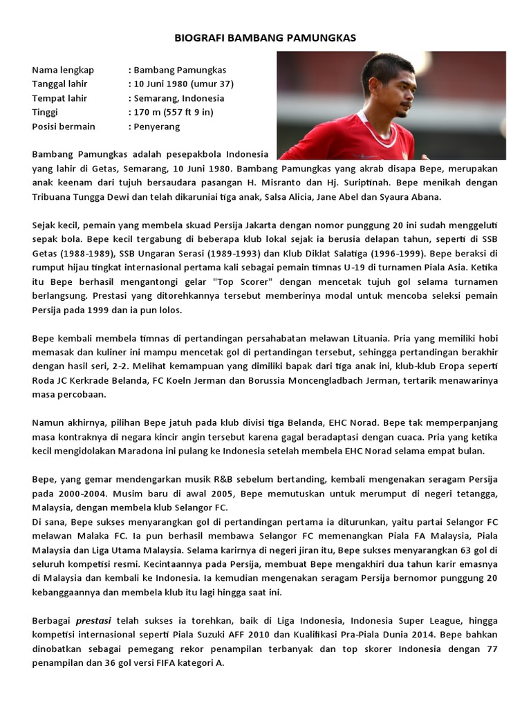 Biografi Bambang Pamungkas | PDF