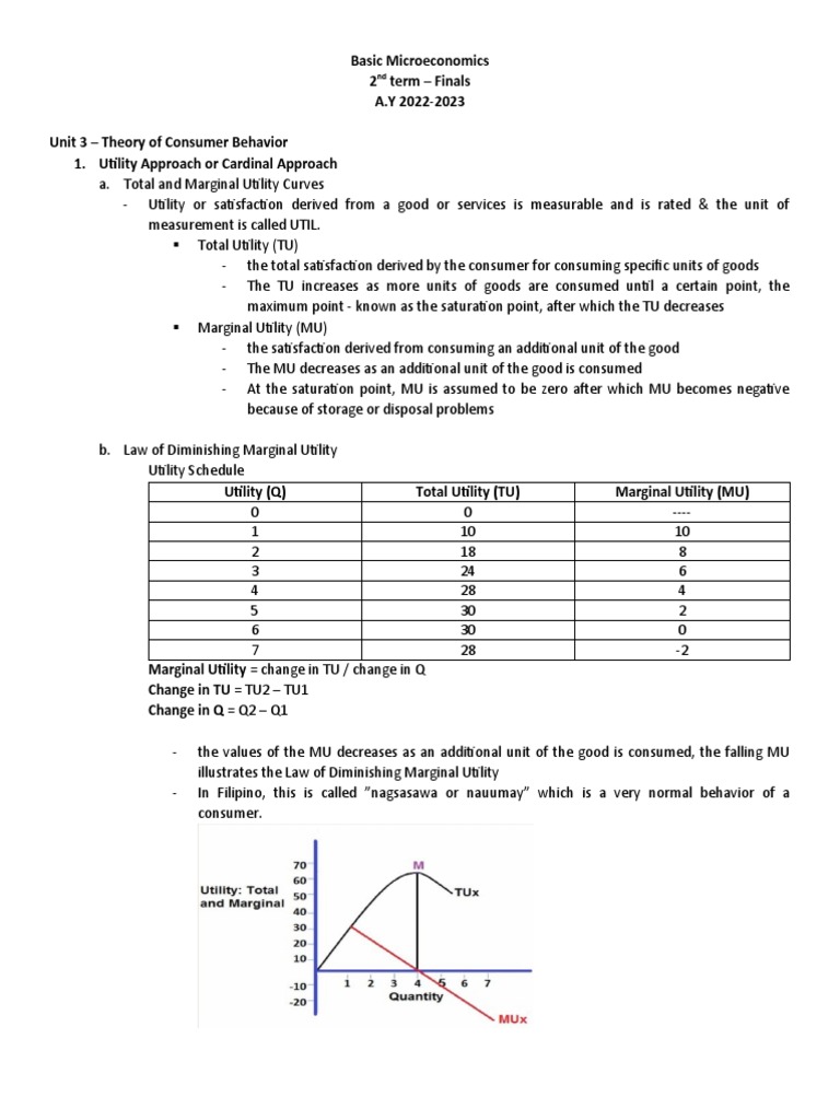 Theory of Consumer Behavior | PDF | Utility | Marginal Utility