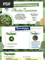 Ficha de Vegetacion | PDF | Arboles | Hoja