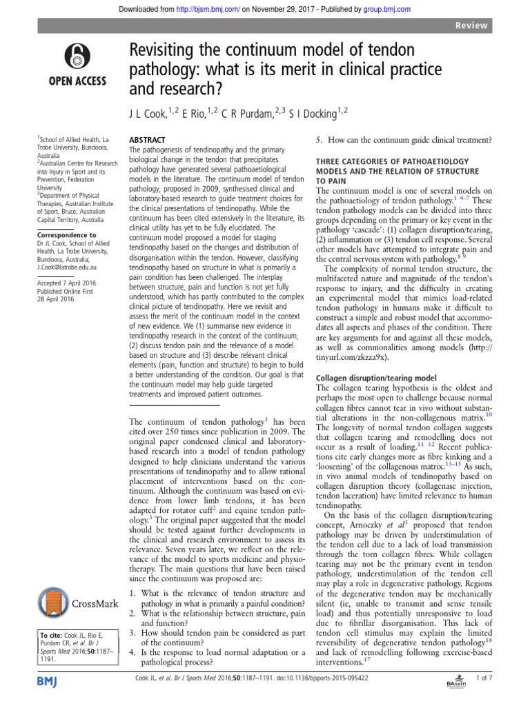 Revisiting The Continuum Model of Tendon Pathology | Download Free PDF | Tendon | Pain