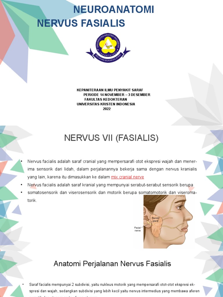 Anatomi & Fungsi Nervus Fasialis | PDF | Kajian Bahasa Asing