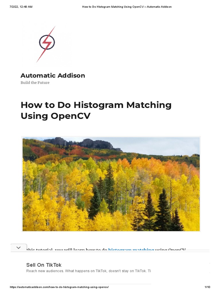 How To Do Histogram Matching Using OpenCV - Automatic Addison | PDF ...