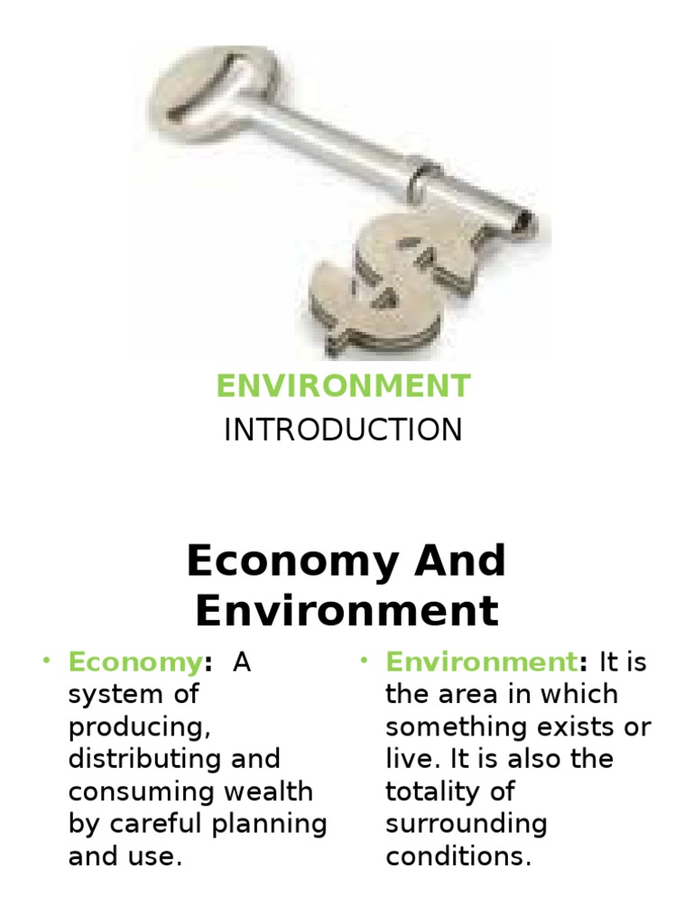 Economic Environment | PDF | Macroeconomics | Economics