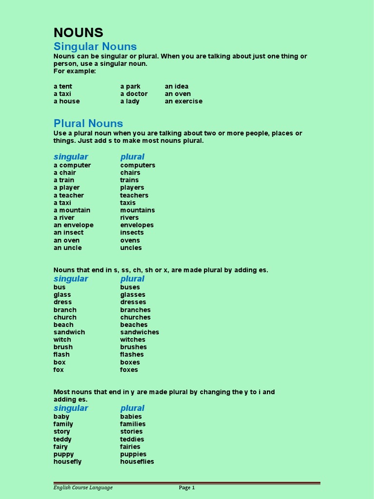 Singular and Plural Nouns | PDF | Plural | Linguistics