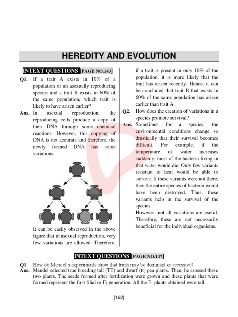 Heredity and Evolution | PDF | Reproduction | Evolution
