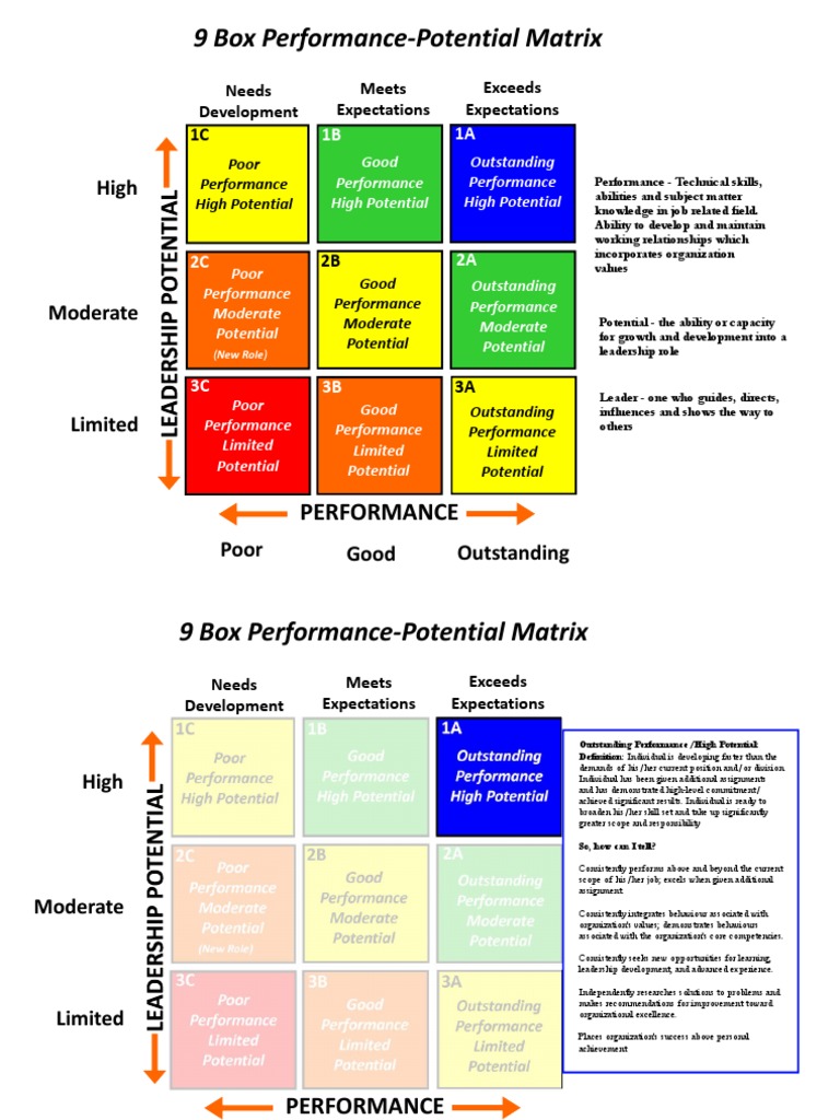 9 Box Performance-Potential Matrix | PDF | Leadership | Behavior