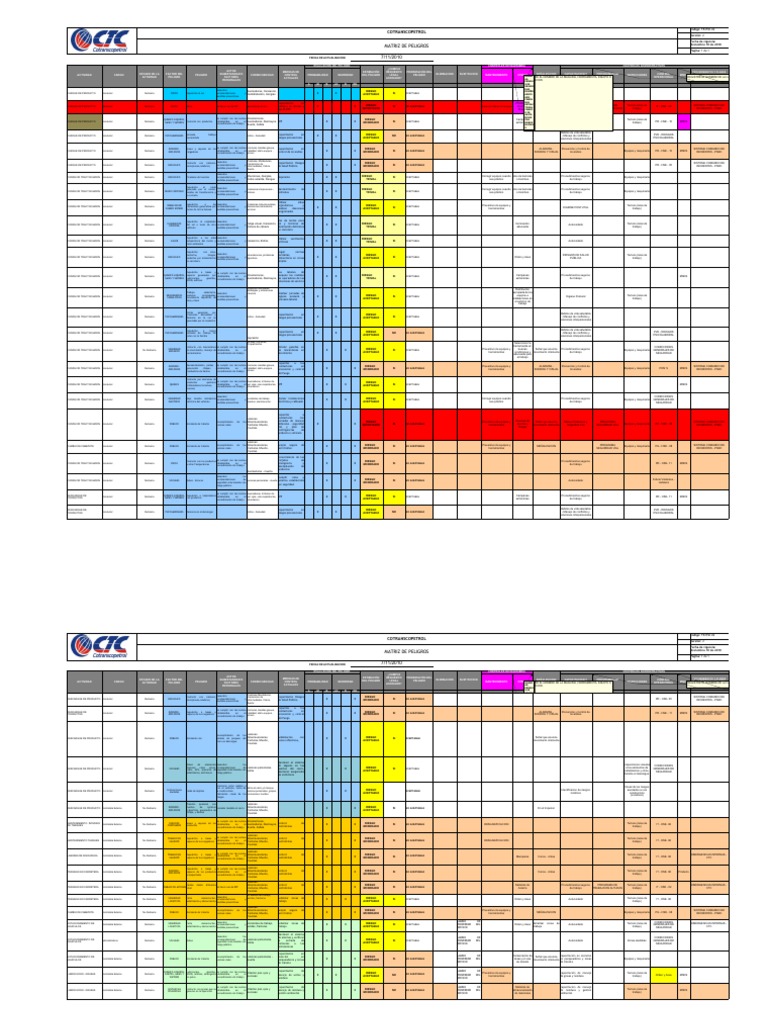 Matriz Riesgos y Peligros CEDI BARRANQUILLA | PDF | Estrés (biología) | Ciencias de la Salud