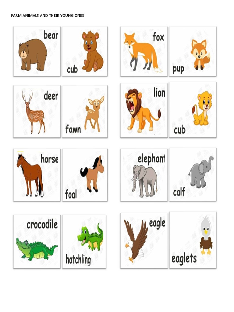 Farm Animals and Their Offspring Guide | PDF