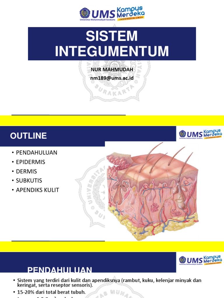 Sistem Integumentum 2021 | PDF