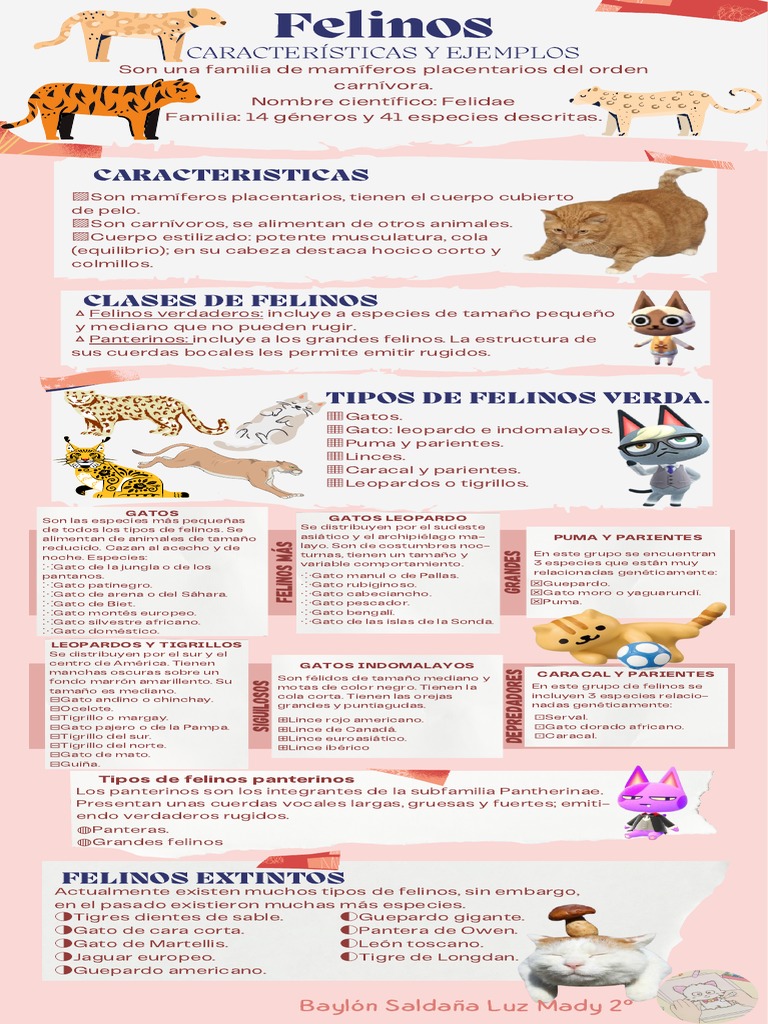 Felinos - Mady Saldaña^^ | PDF | Felidae | Gatos