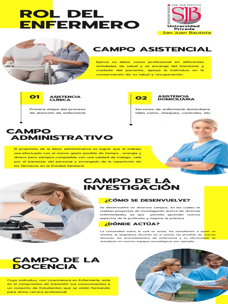 Rol Del Enfermero Pdf Enfermería Programas Sociales
