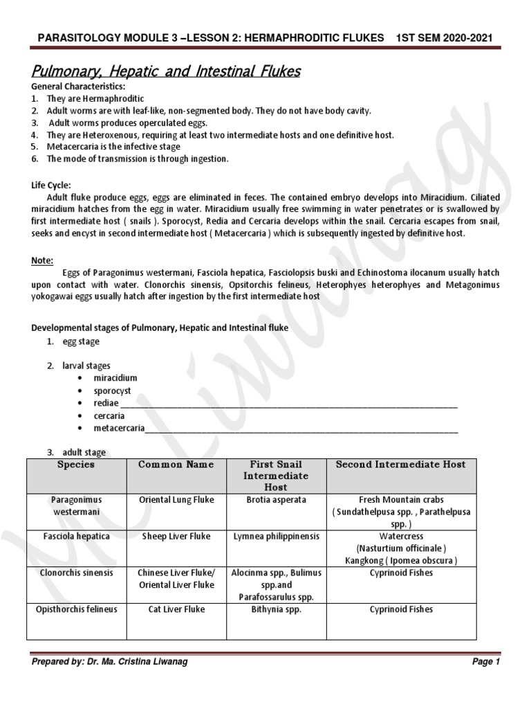 Hermaphroditic Flukes Overview | PDF | Medical Specialties | Microbiology