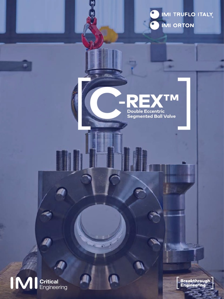 C Rex Valve | Download Free PDF | Valve | Chemical Substances