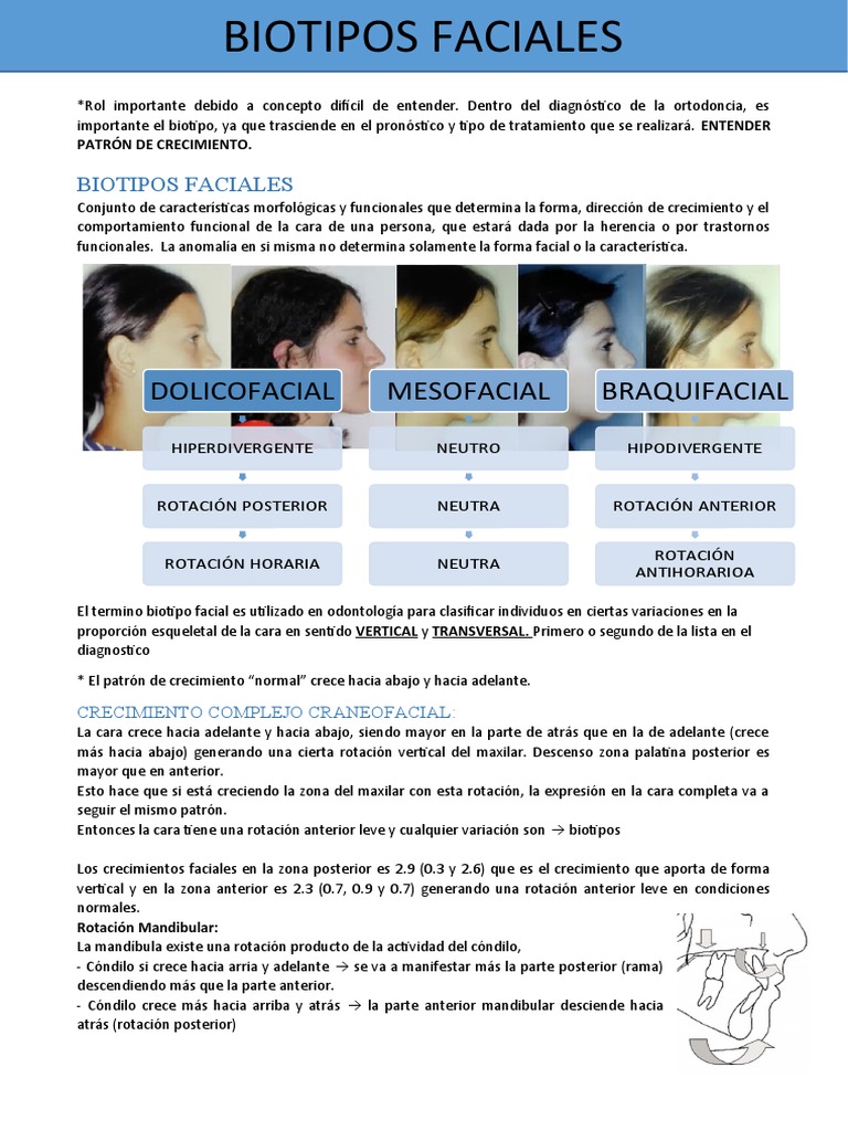 Biotipos Faciales | PDF | Cráneo | Cara