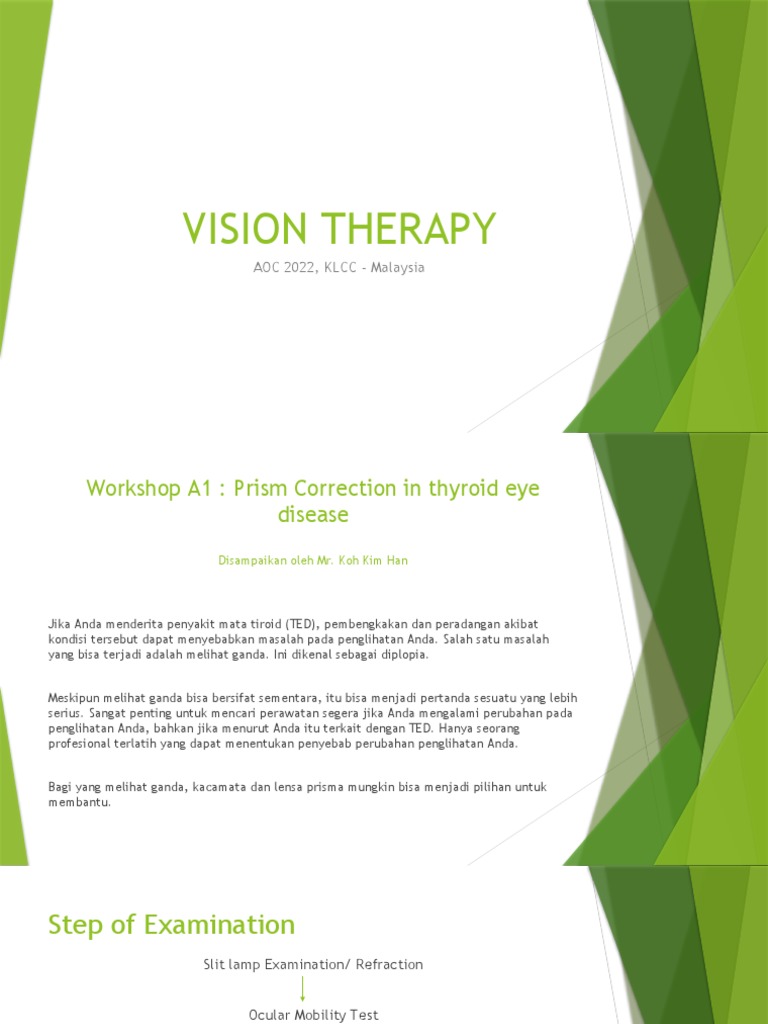 Vision Therapy | PDF