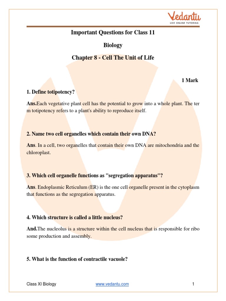 Important Questions For CBSE Class 11 Biology Chapter 8 | PDF | Cell ...