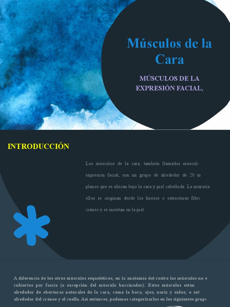 Músculos de la Cara y su Función | PDF | Cara | Cráneo