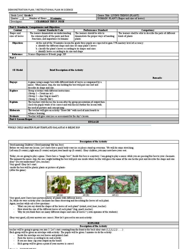 Scie LessonPlan Leaves (Size&Shapes) | PDF | Leaf | Learning