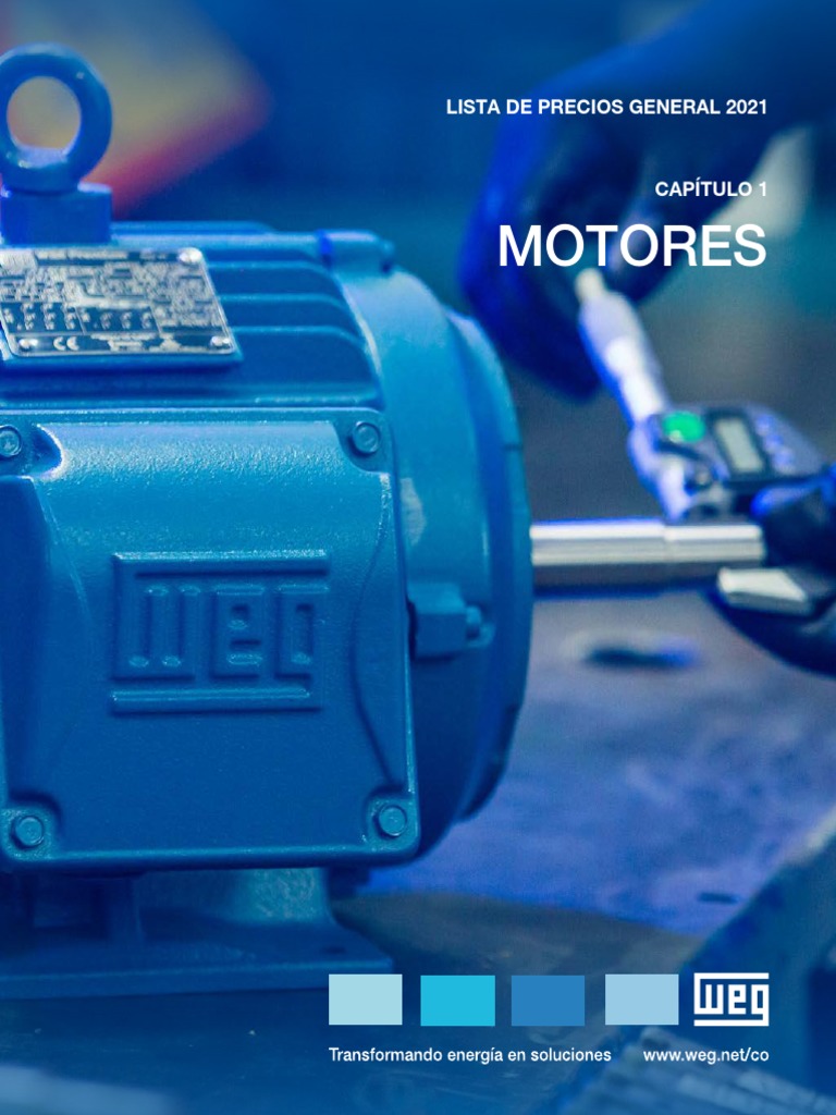 LP-Septiembre-Capitulo1-Motores WEG | PDF