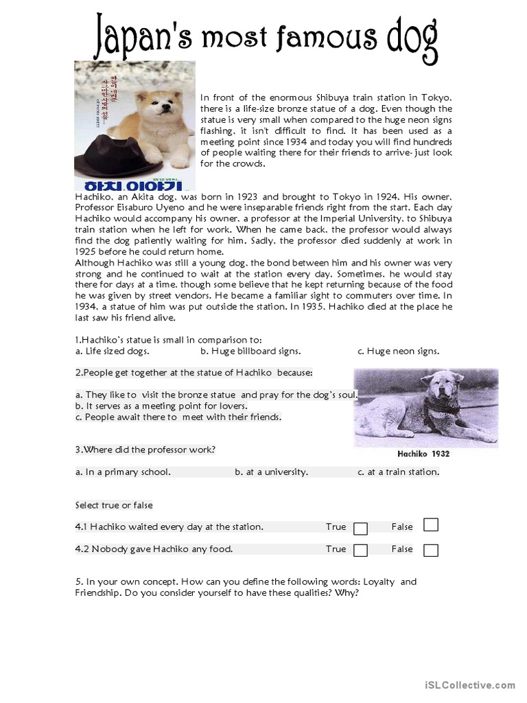 Hachiko Reading Comprehension | PDF