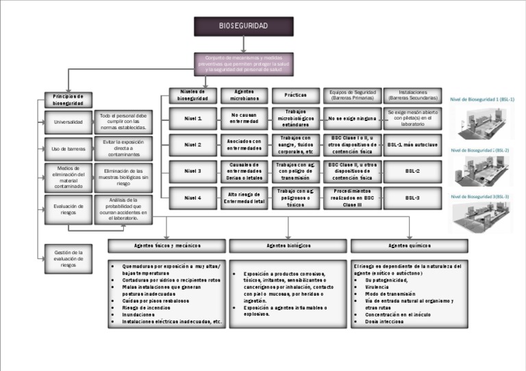 Mapa Conceptual #5 - Grupo C2 | PDF | Laboratorios | Contaminación