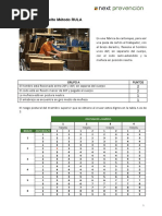 Metodo Rula Excel | PDF | Sistema musculoesquelético | Anatomía humana