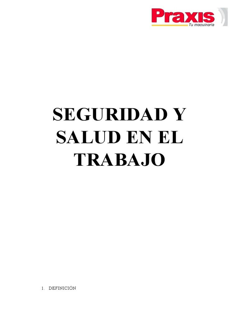 Seguridad y Salud en El Trabajo | PDF | Valores | Riesgo
