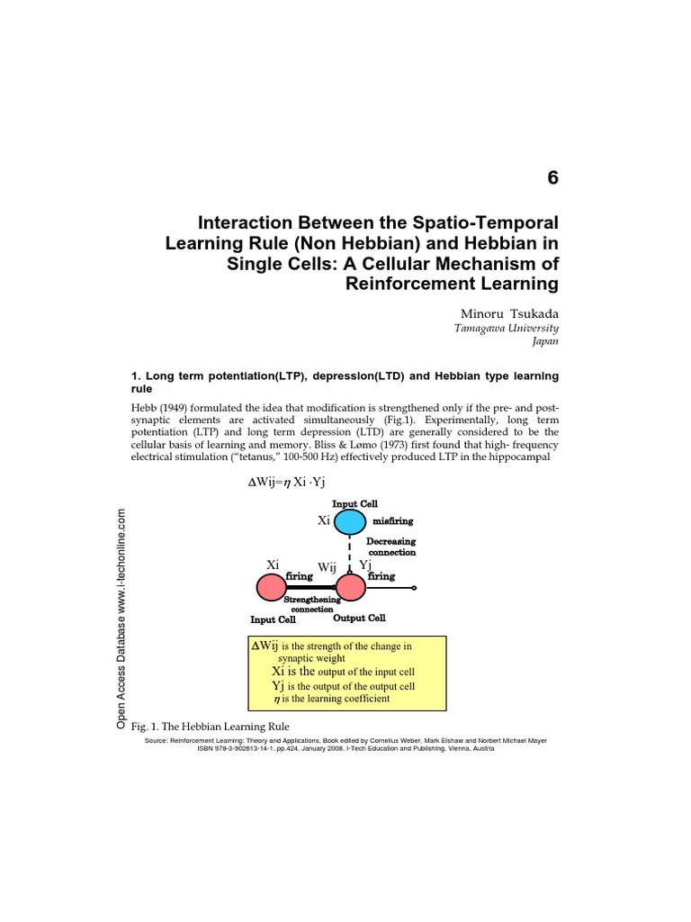 Interaction Between The Spatio Temporal Learning Rule Non Hebbian And