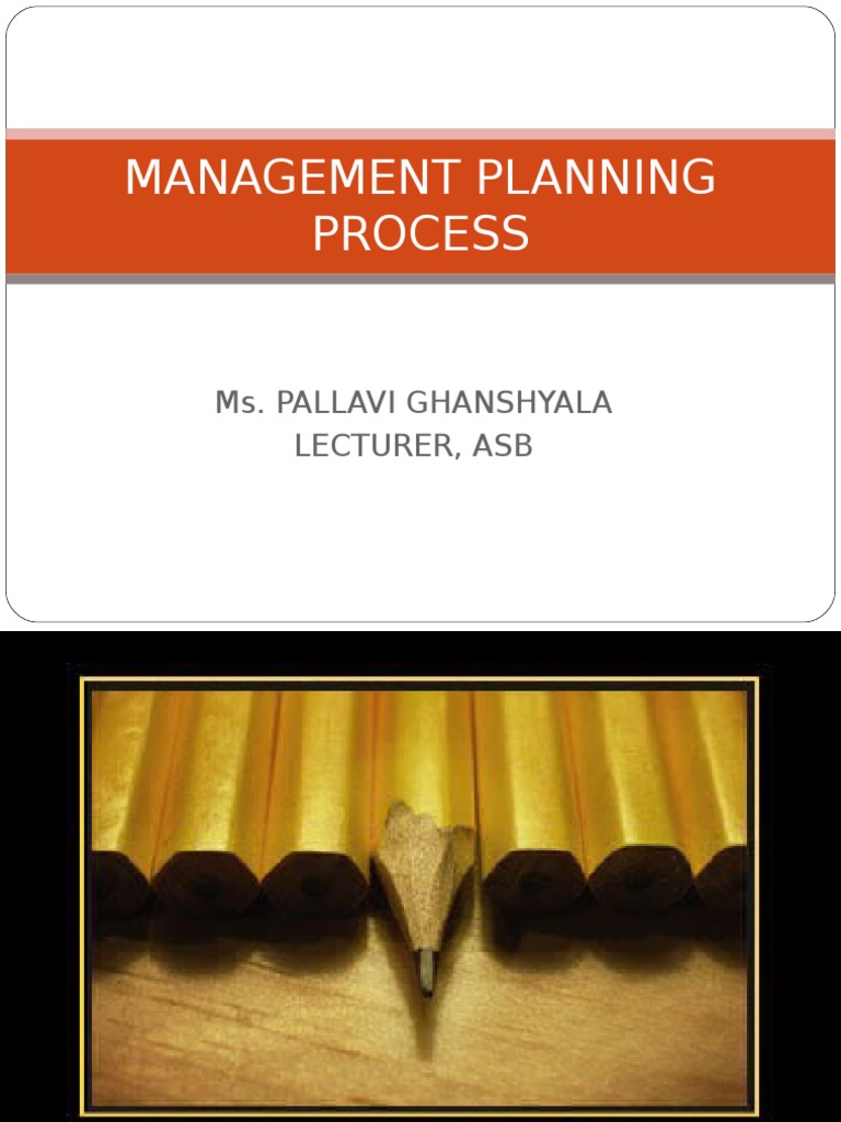 Management Planning Process Overview | PDF | Strategic Planning ...