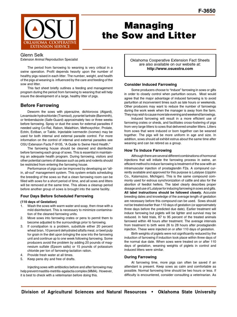 Optimizing Piglet Health and Growth Through Effective Sow and Litter ...