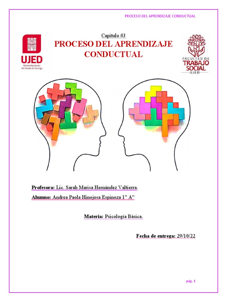 Proceso Del Aprendizaje Conductual | Descargar gratis PDF | Aprendizaje | Comportamiento