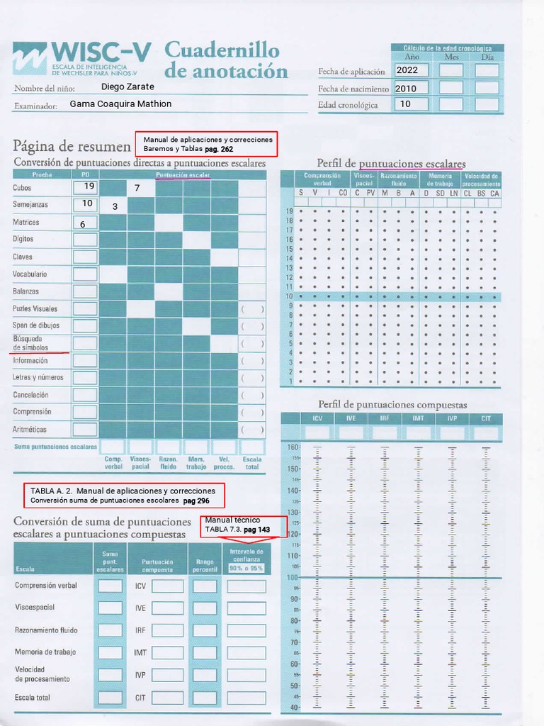 Apuntes Wisc V - Cuadernillo de Resultados | PDF