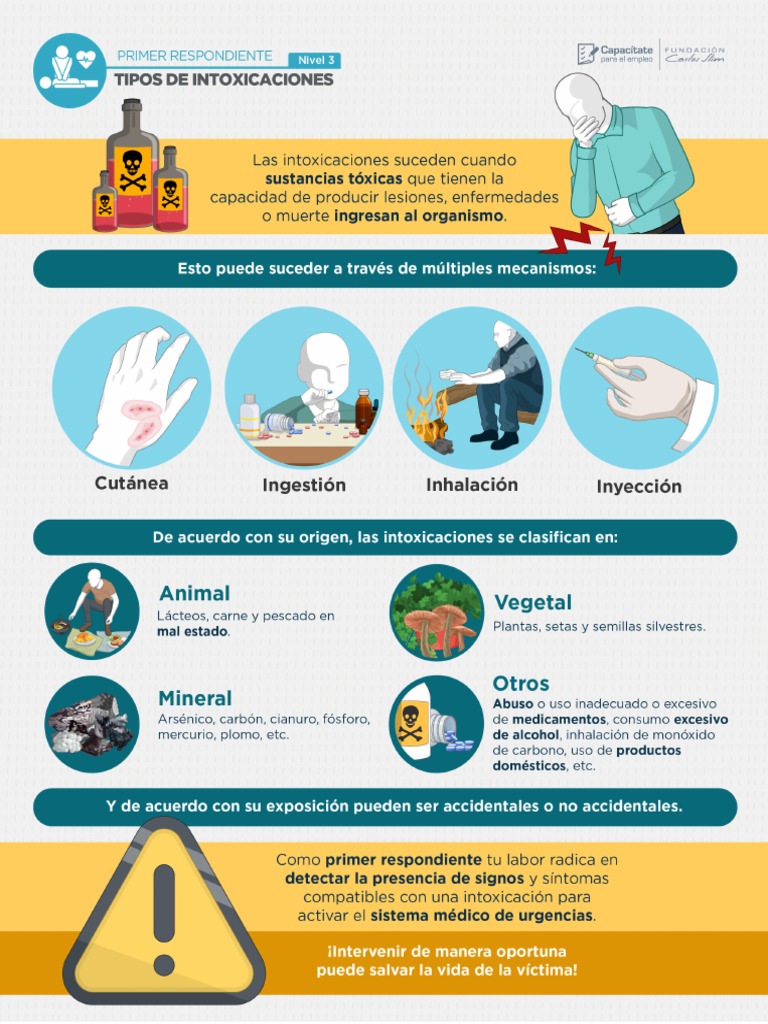 Tipos de Intoxicaciones | PDF
