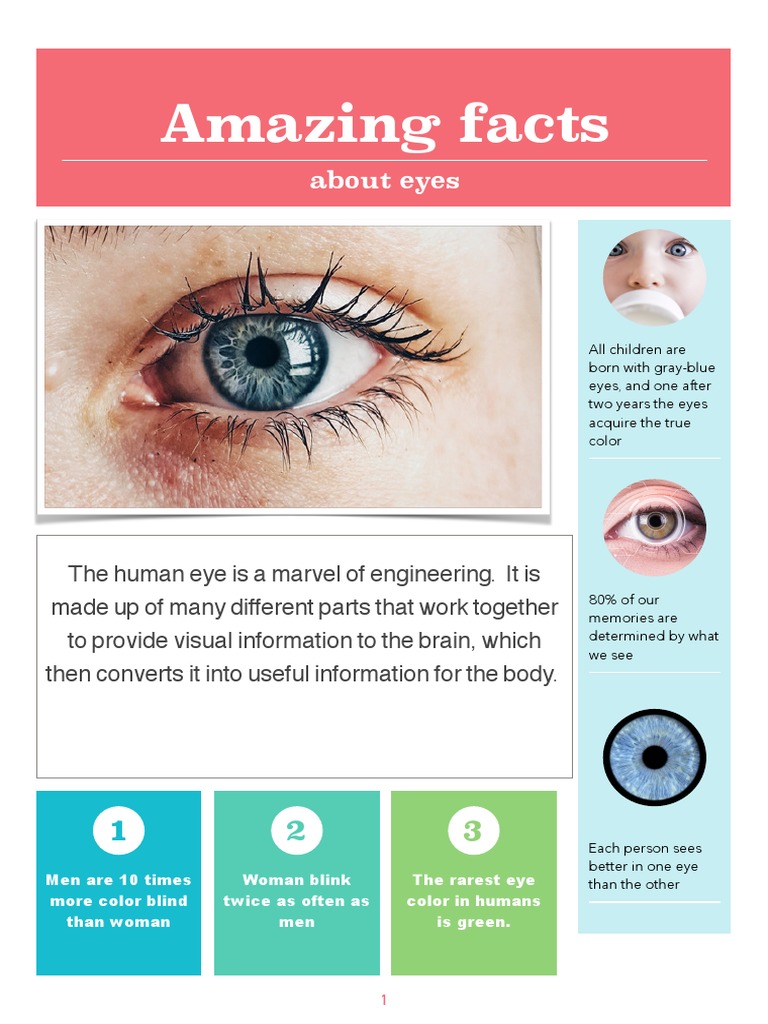 Facts About Eyes 2 | PDF | Eye | Human Eye