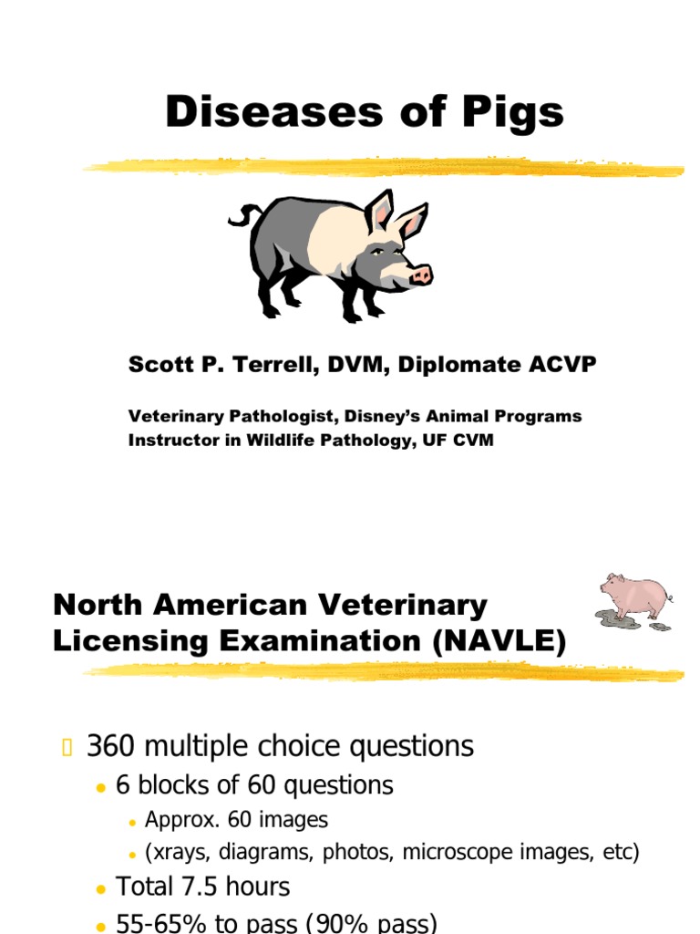 1.Diseases of Pig | Pneumonia | Diarrhea