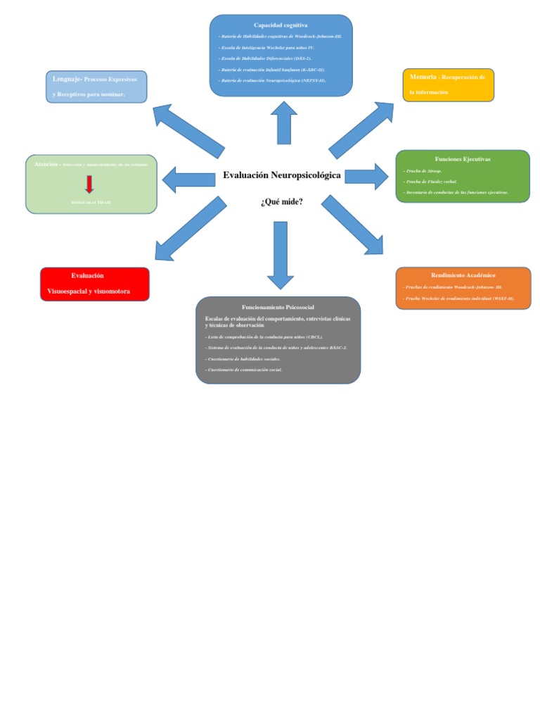 Mapa Conceptual Neuropsicologia Infantil Cap 6 | PDF | Funciones ejecutivas | Neuropsicología