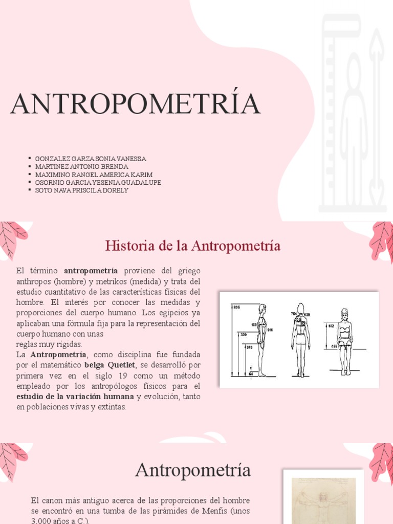 Antropometria Pdf Antropometría Factores Humanos Y Ergonomía
