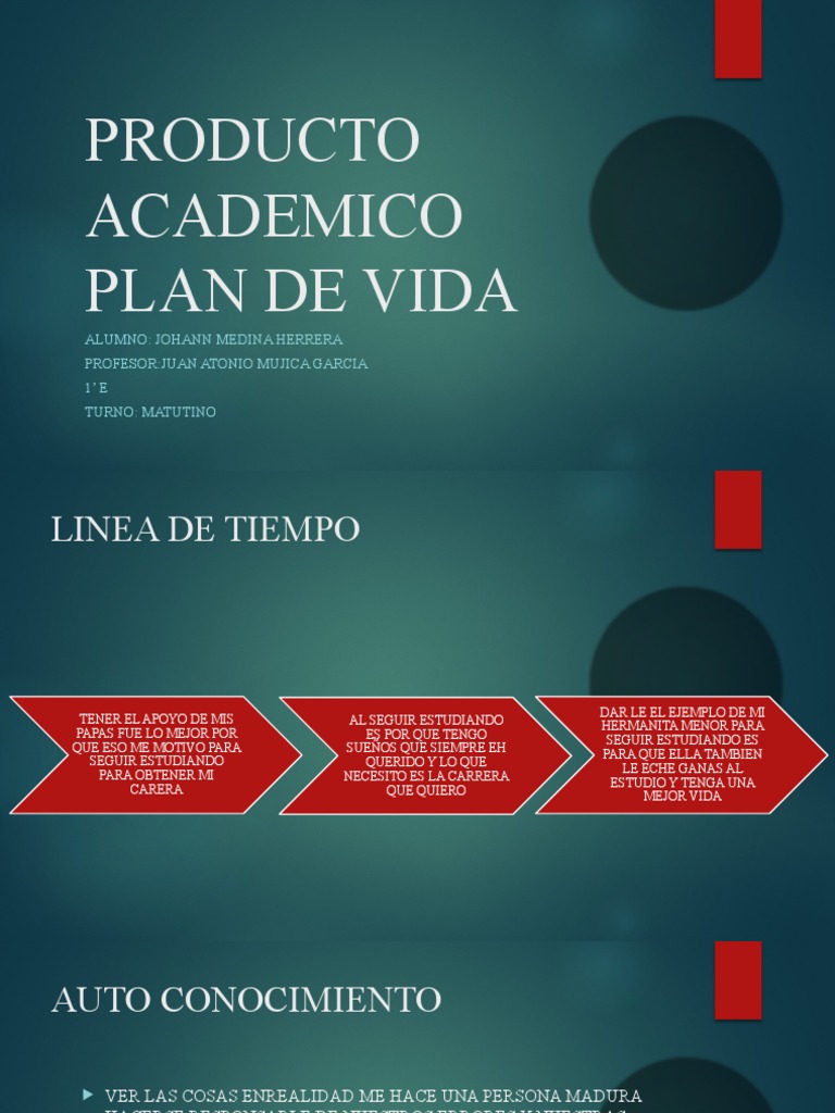 Producto Academico 2 | PDF
