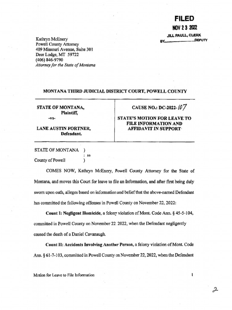 Lane Austin Fortner Charges | PDF