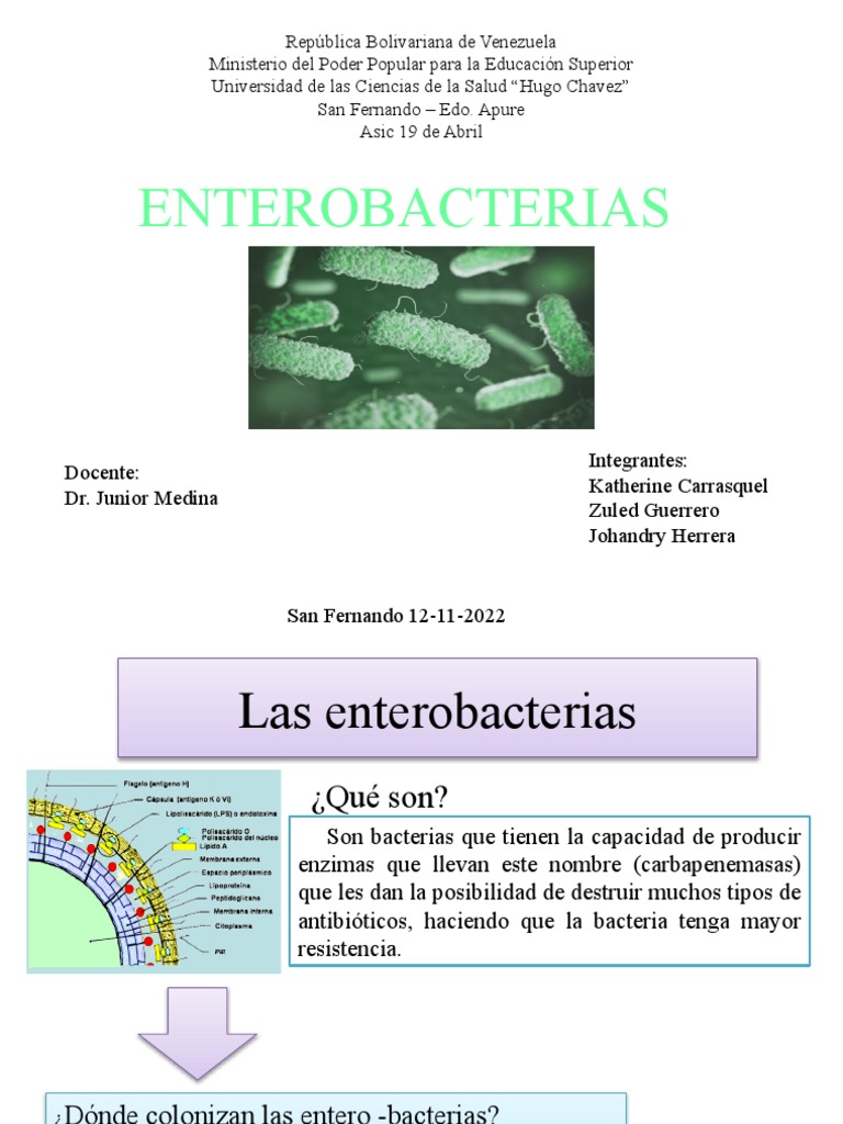 Tema 13. Enterobacterias : Enterobacterias: concepto, características ...