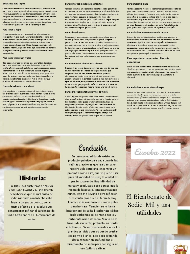 Triptico Eureka 2022 | PDF