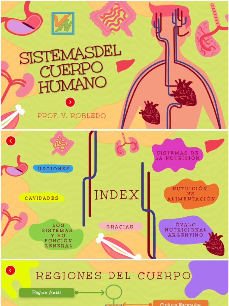 Sistemas Del Cuerpo Humano Pdf
