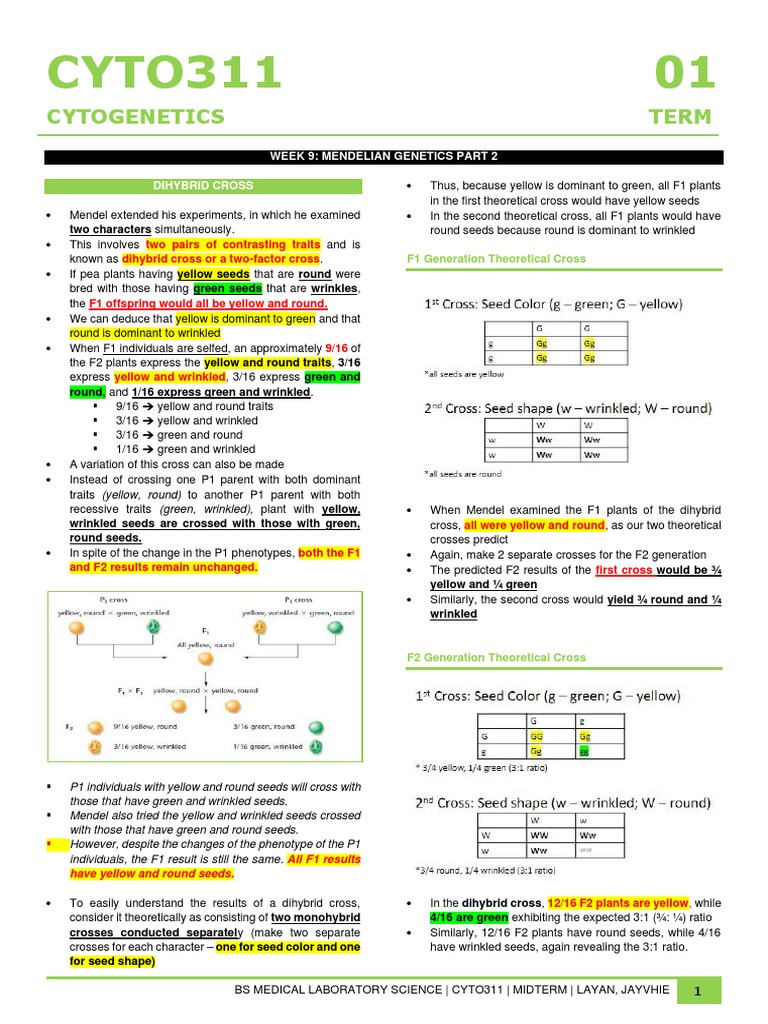 Dihybrid Cross in Mendelian Genetics | PDF | Evolutionary Biology | Biology