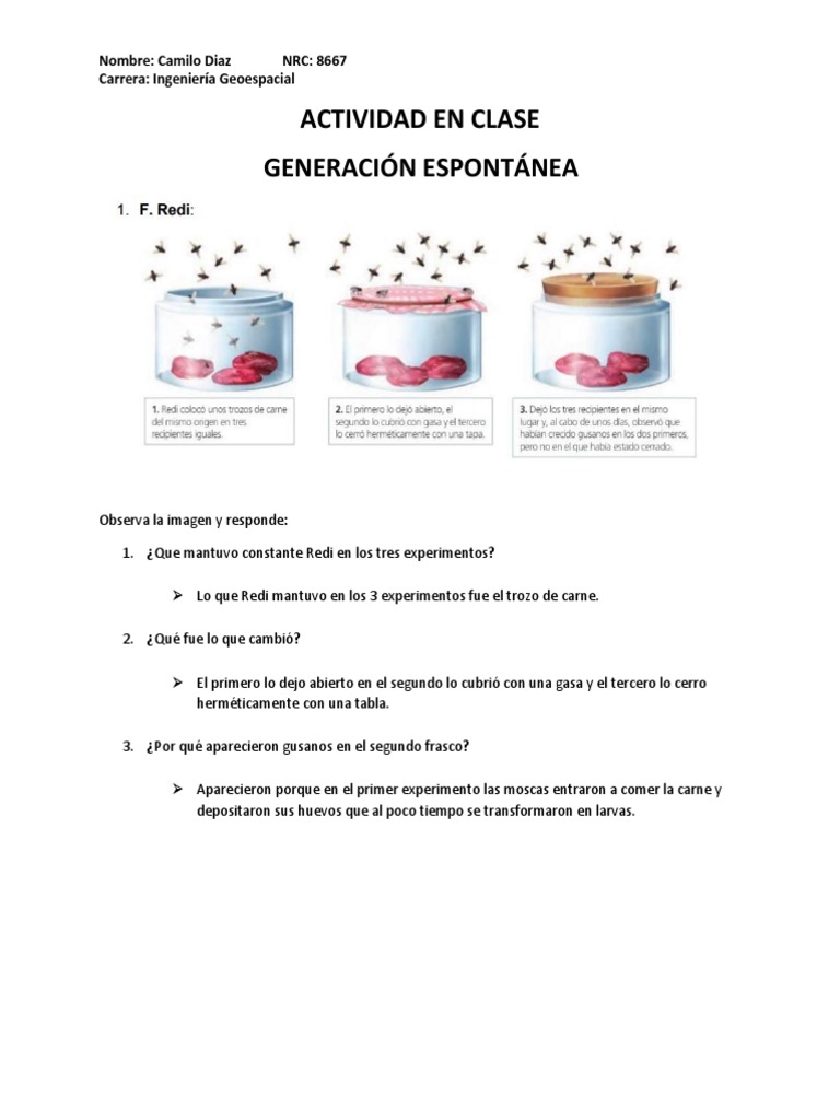 Actividad Generación Espontánea | PDF