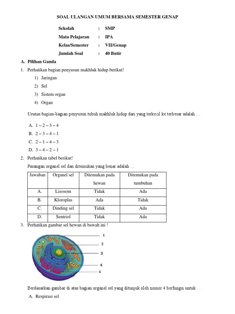 SOAL ULANGAN UMUM BERSAMA SEMESTER GENAP 7-Dikonversi | PDF